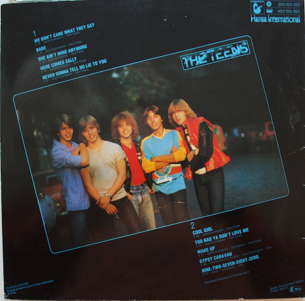 The Teens – Rock City Nights (LP, Album) – akerrecords.nl
