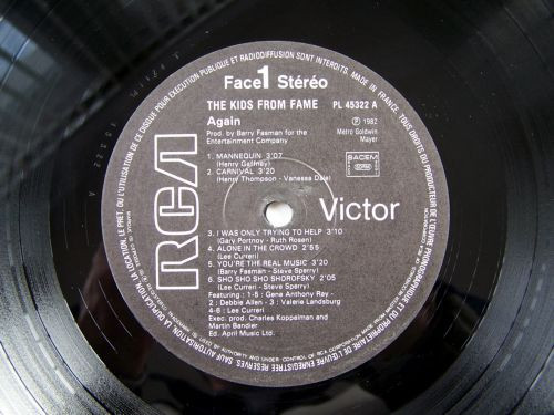 The Kids From Fame – The Kids From Fame Again (LP) – akerrecords.nl