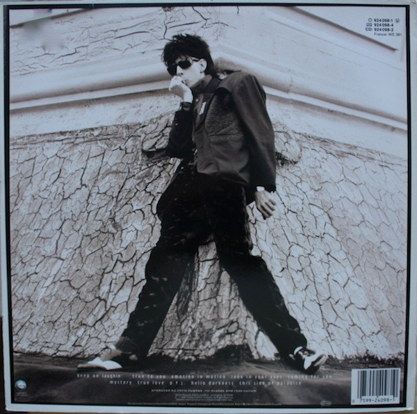 Ric Ocasek – This Side Of Paradise (LP, Album) – akerrecords.nl